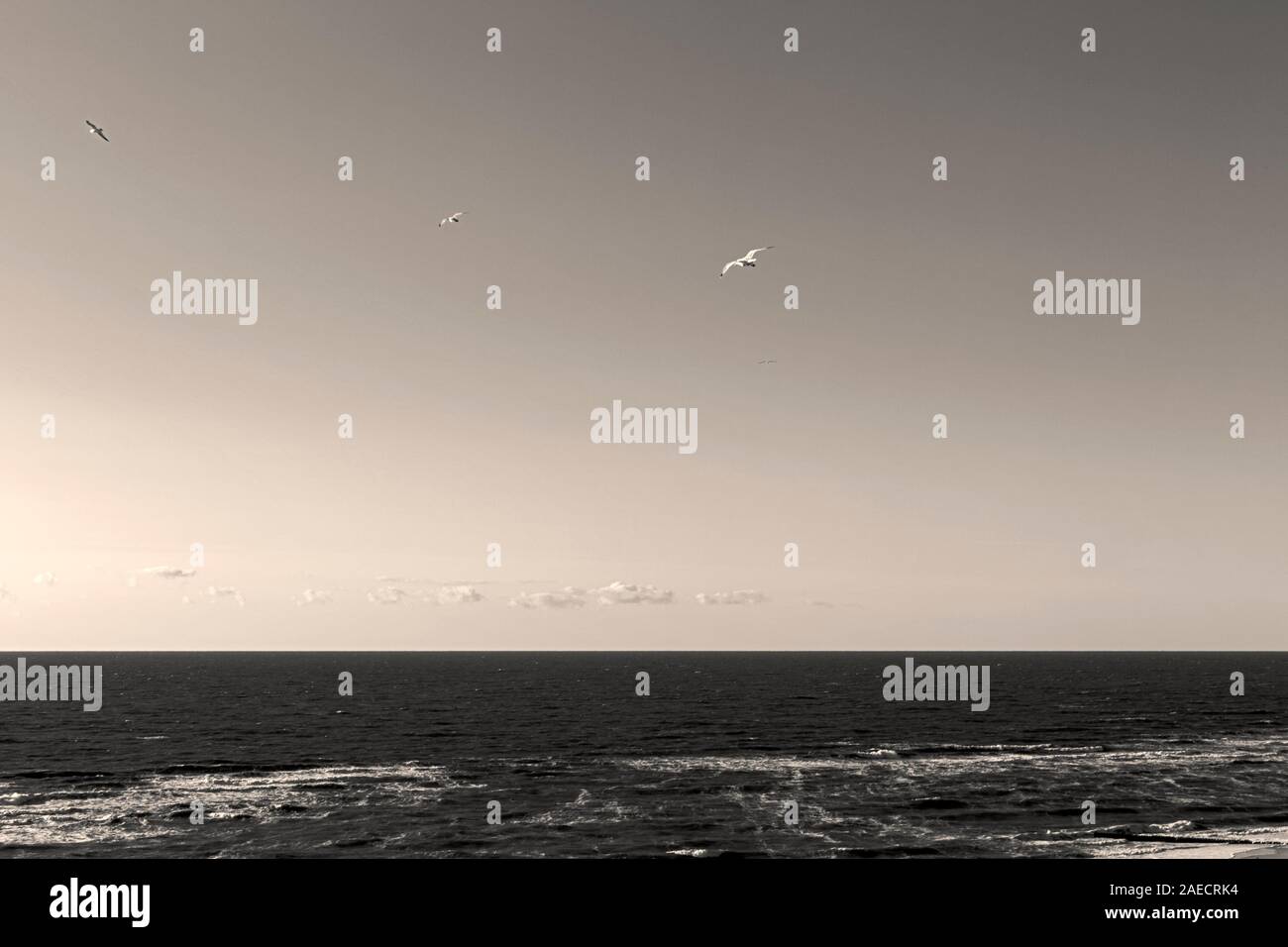 Horizont hi-res stock photography and images - Alamy
