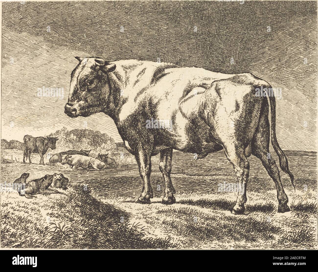 Cow German 19th Century, Cow Stock Photo - Alamy