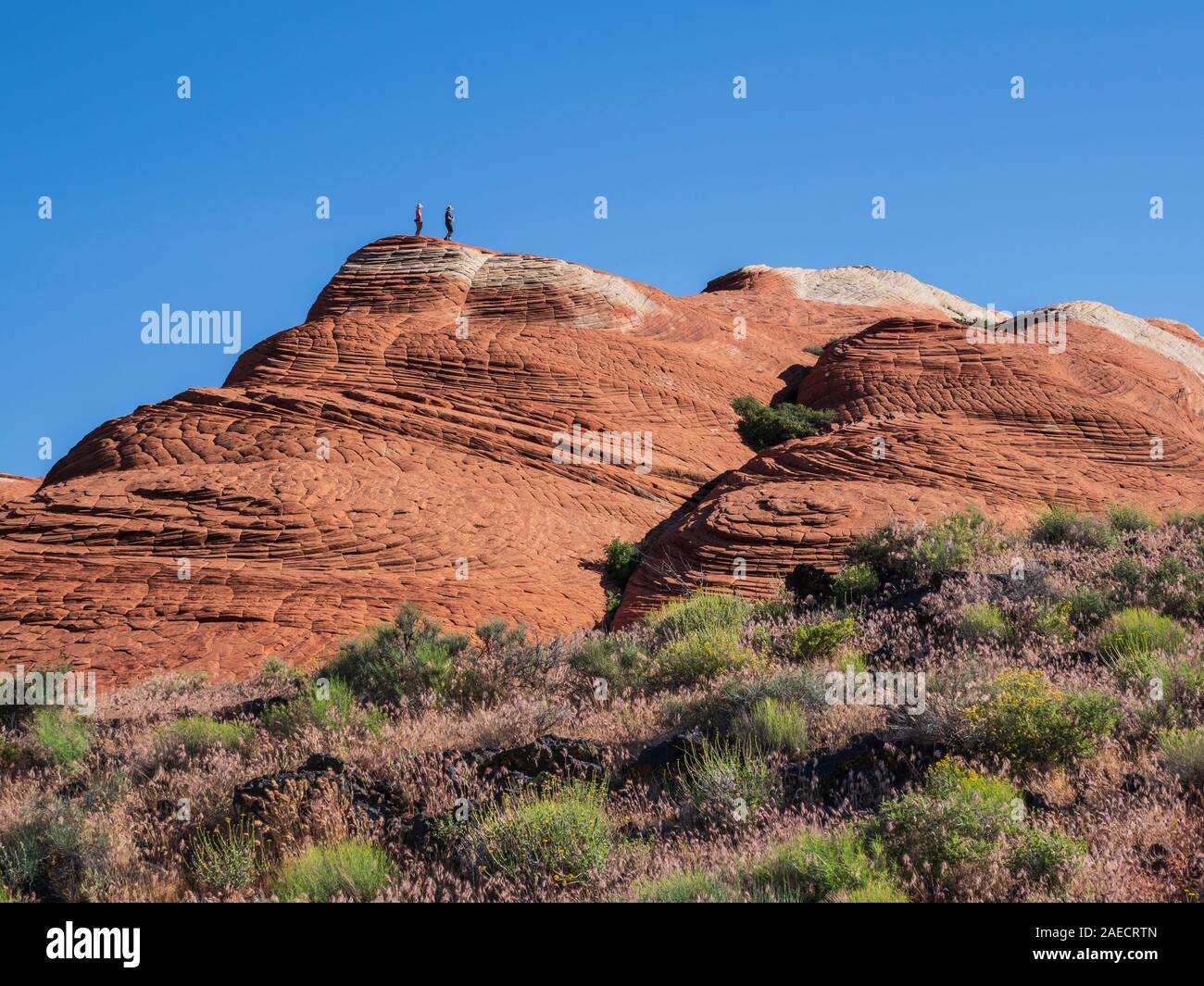 Soft red sand stone hi-res stock photography and images - Alamy