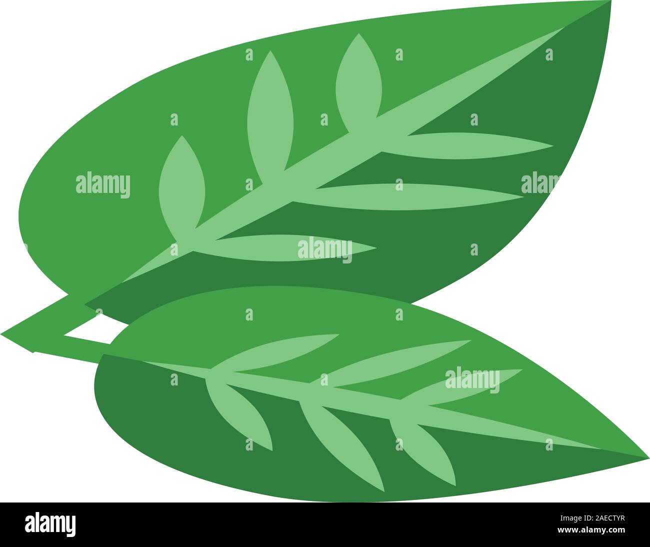 Mint leaf detail Stock Vector Images - Alamy