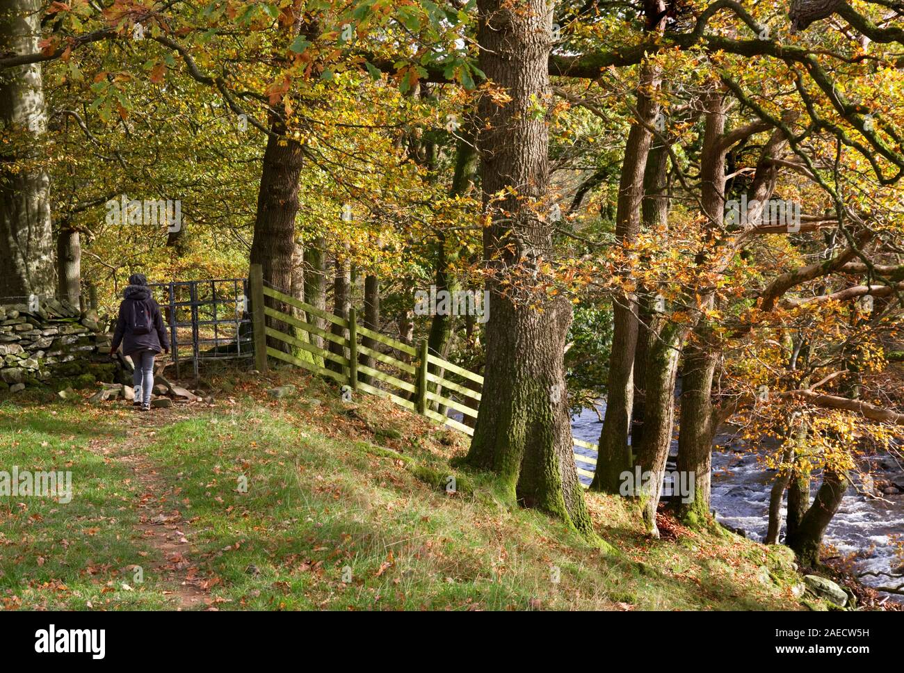 Dales Way Trail High Resolution Stock Photography and Images - Alamy