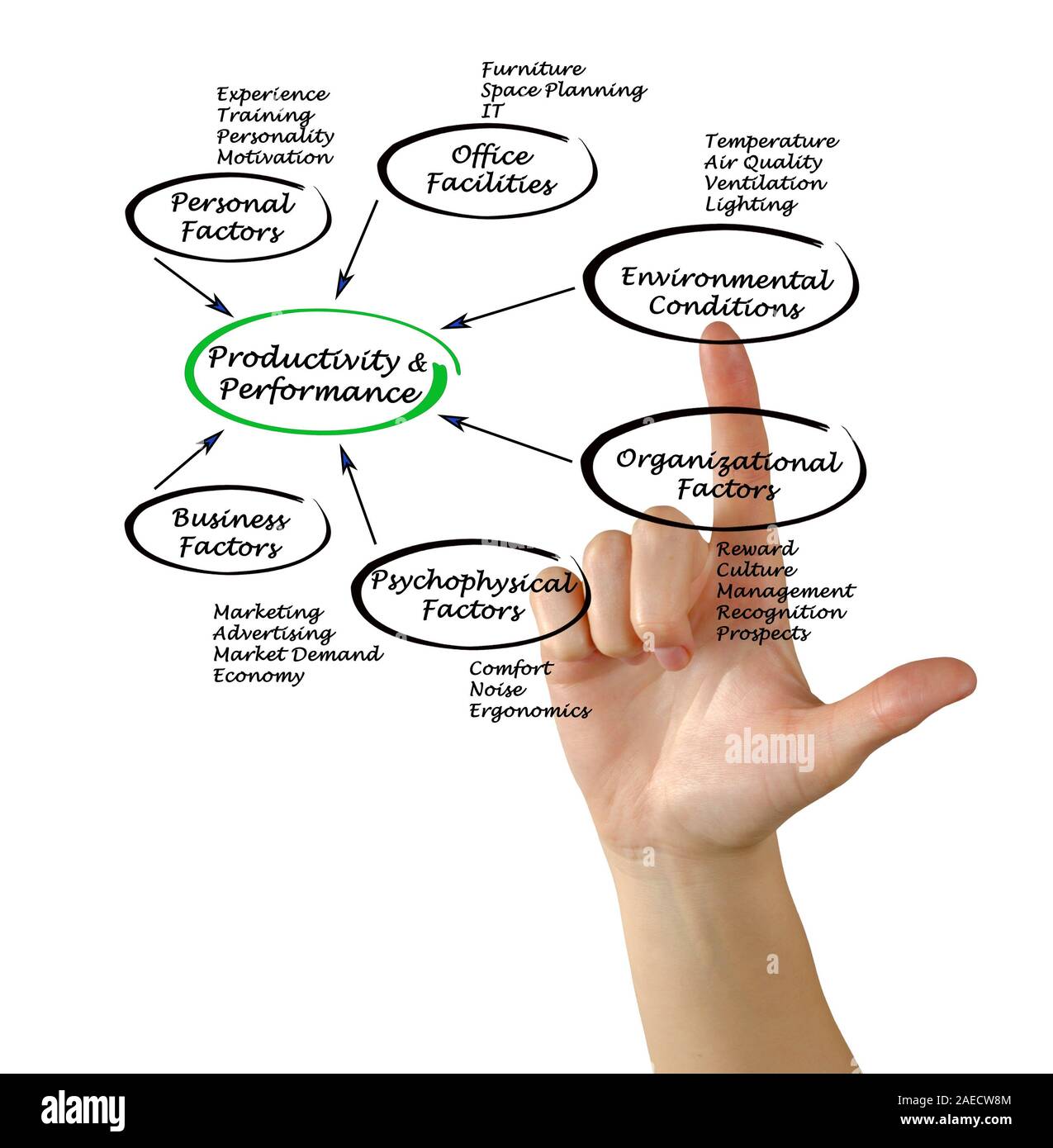 Productivity and Performance Stock Photo - Alamy