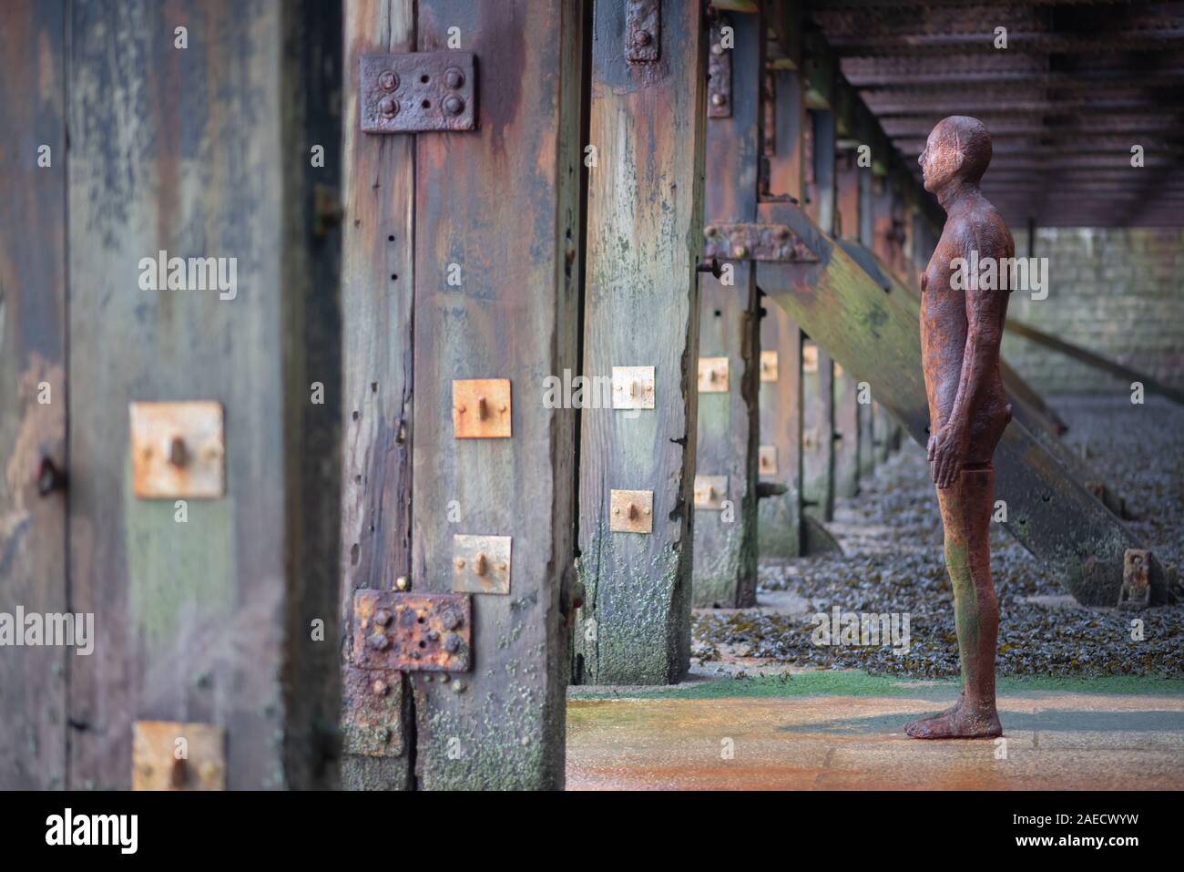 Rusty metal seaweed hi-res stock photography and images - Alamy