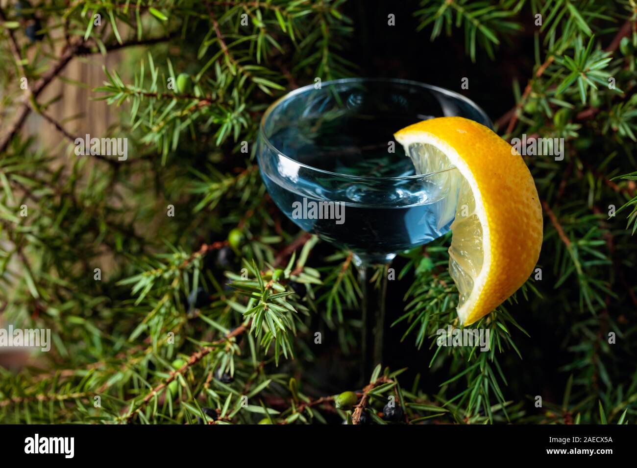 Glass of blue gin garnished with lemon slice. Blue gin and juniper ...