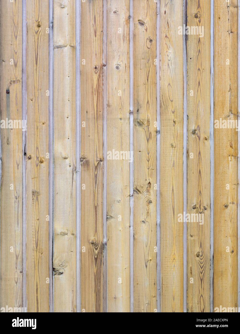 Spruce planks wood texture or background Stock Photo - Alamy