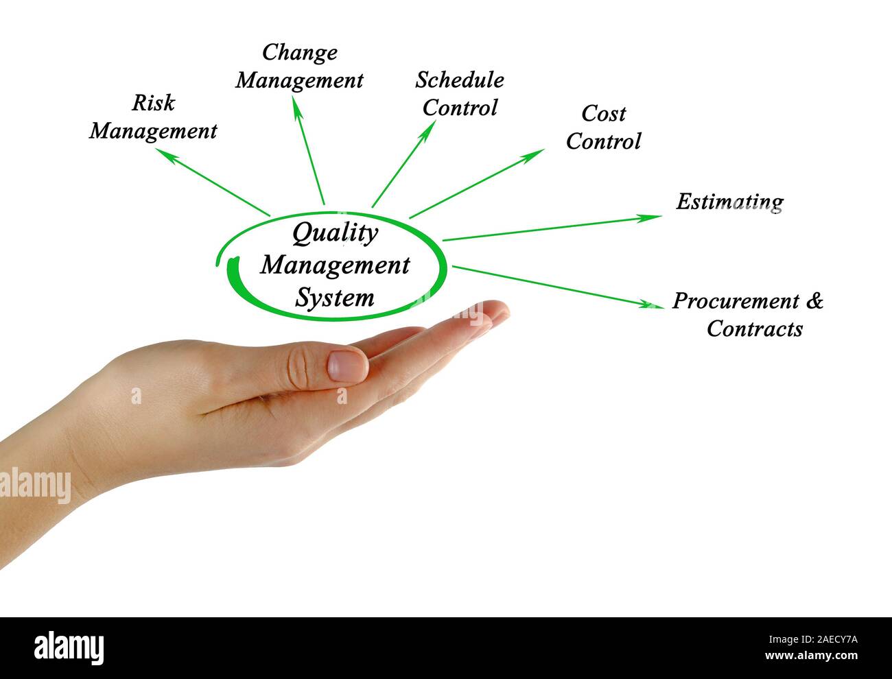 Diagram of Quality Management System Stock Photo - Alamy