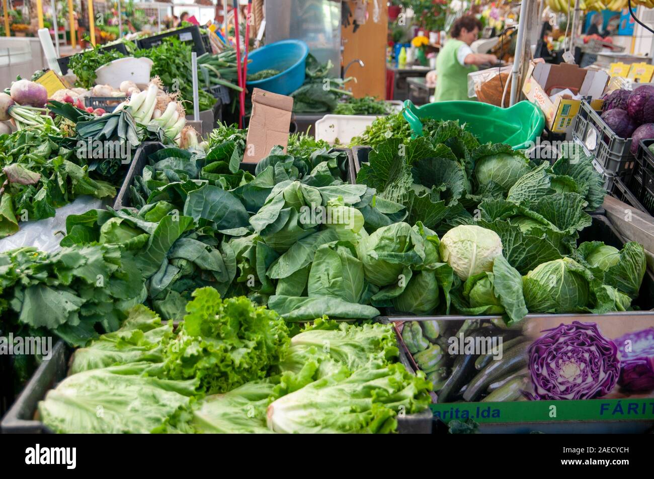 Vegetables Grown In Portugal On The Vine
