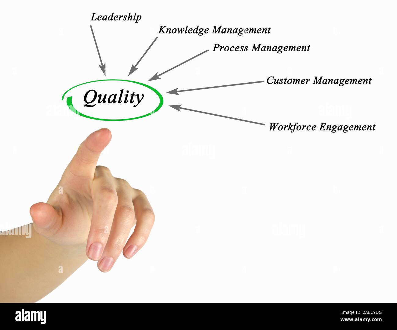 Diagram of Quality Stock Photo - Alamy