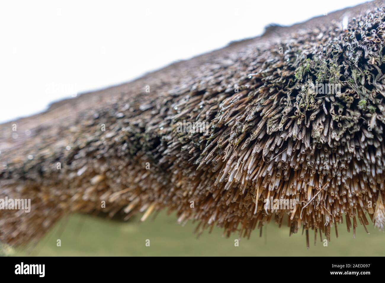 Detail of a roof made of straw Stock Photo - Alamy