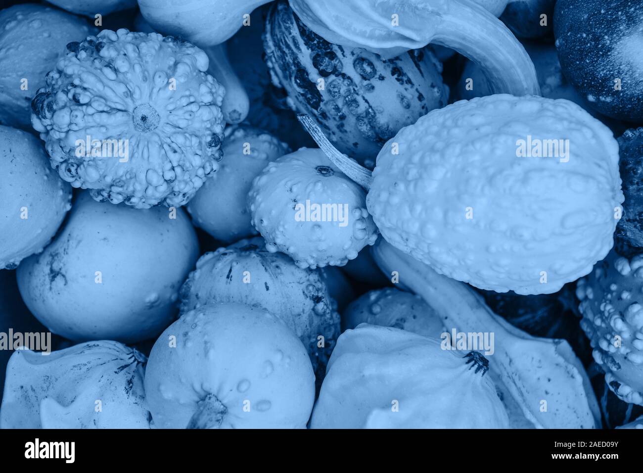 Abstract squash background in trendy classic blue color Stock Photo - Alamy