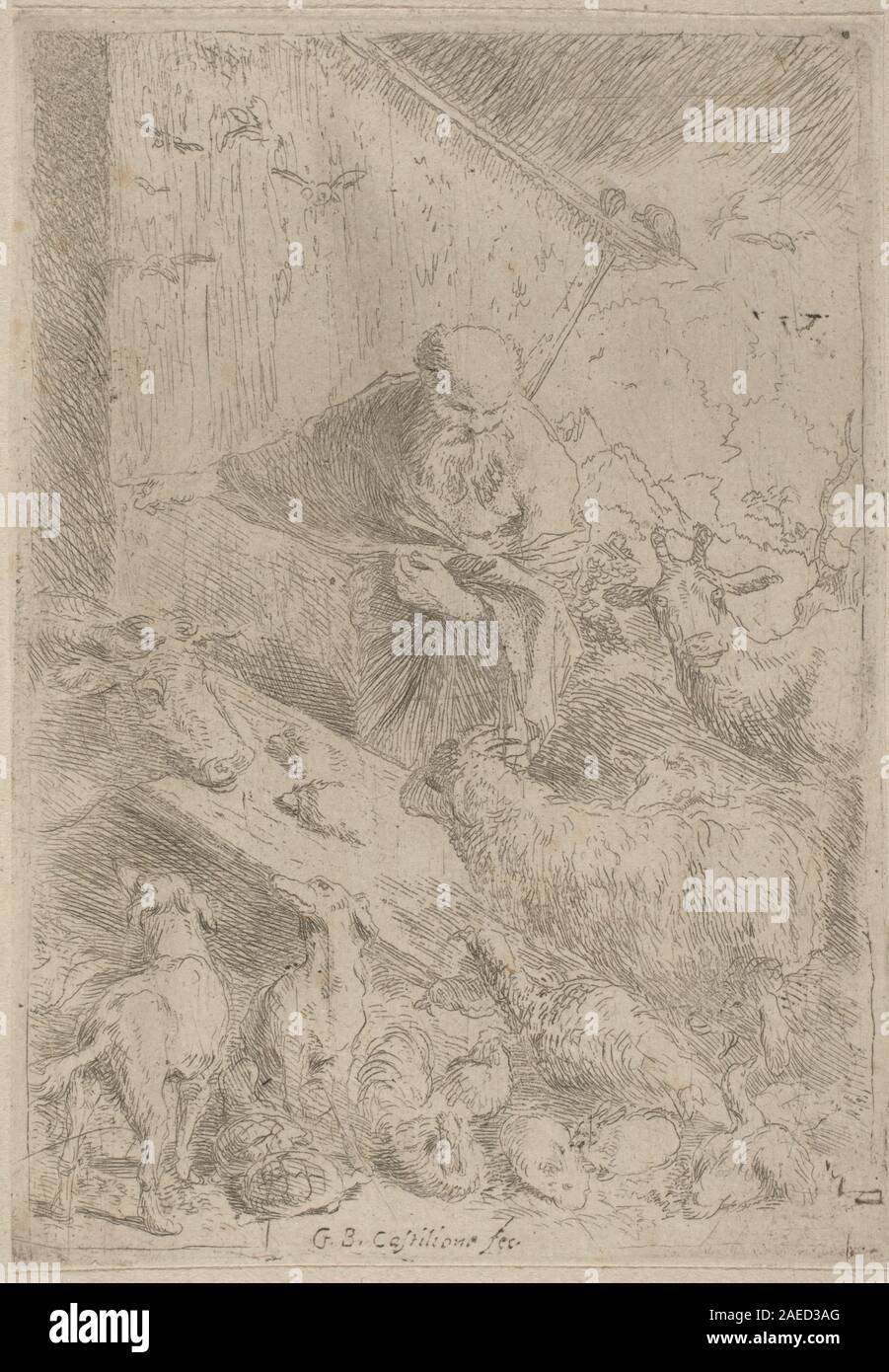 Noah entering the ark hi-res stock photography and images - Alamy