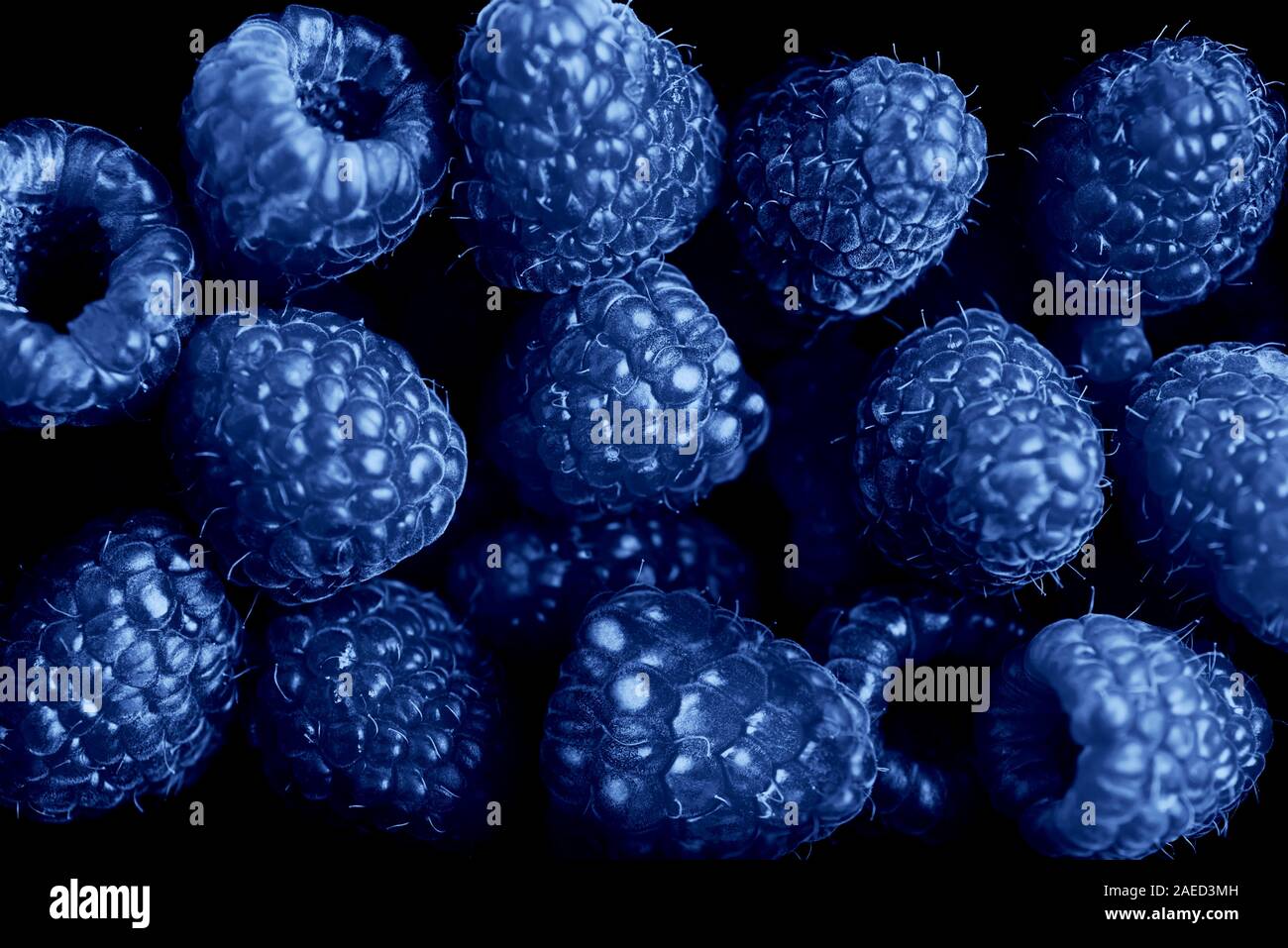Classic Blue. Color of the Year 2020. a lot of raspberries on a black ...