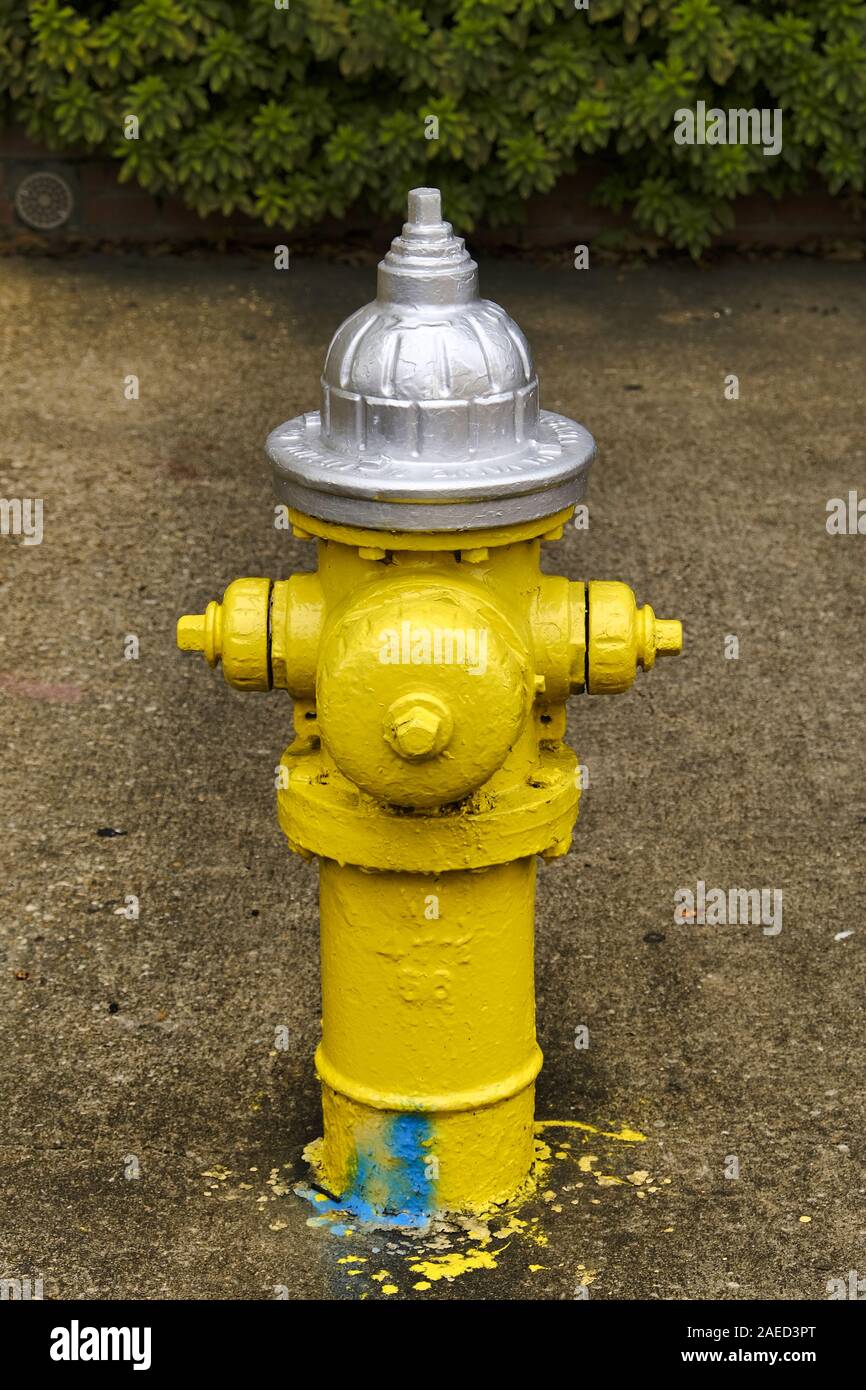 Fire hydrant usa hi-res stock photography and images - Alamy