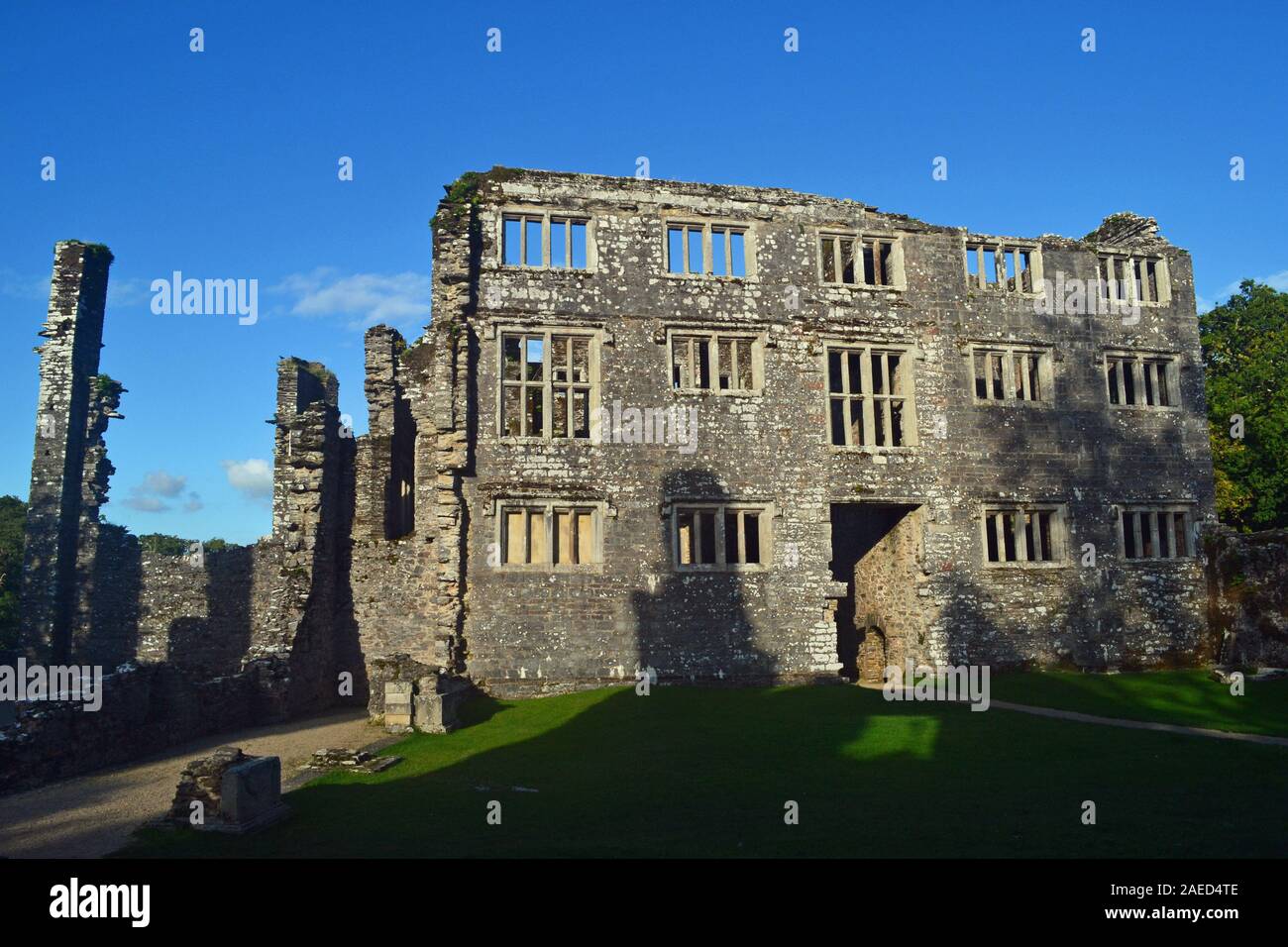 Totnes castle tree hi-res stock photography and images - Alamy