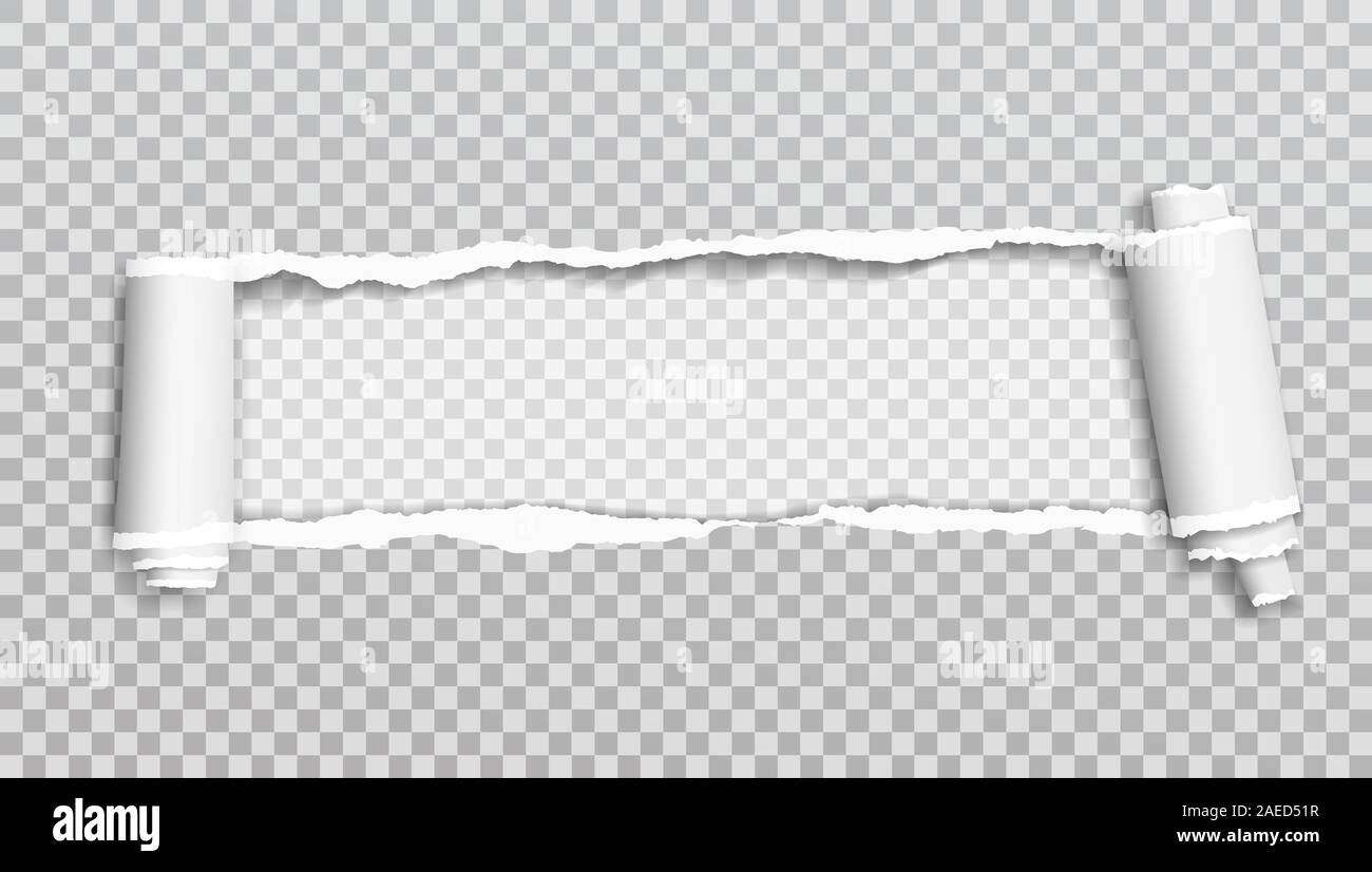 Rolled and ripped white squared notebook paper is on squared background ...