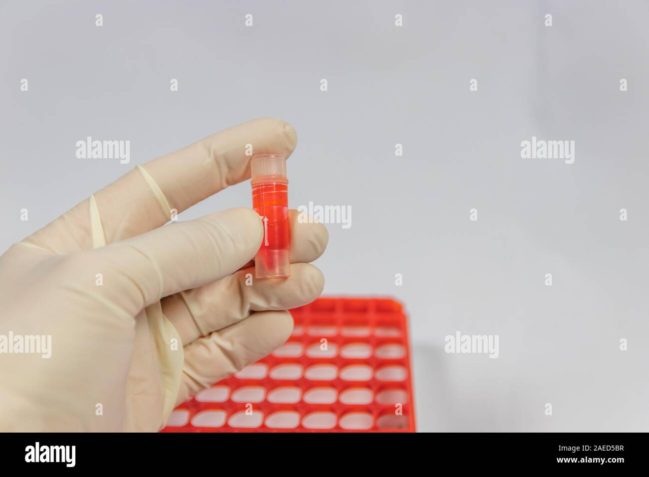 Doctor storing sample in deep freezer storage container Stock Photo - Alamy