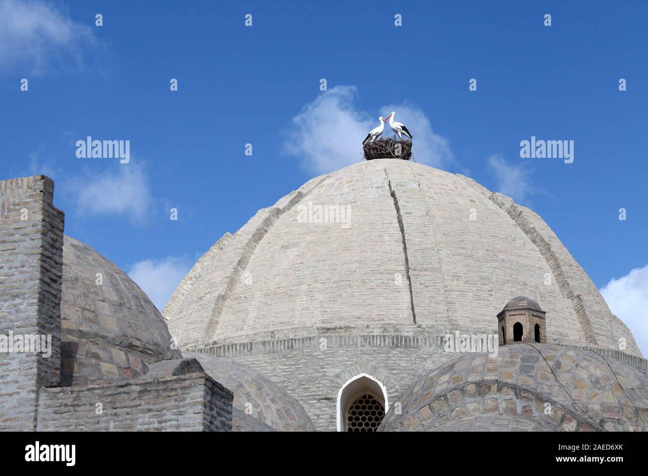 Historic trading domes at Bukhara in Uzbekistan Stock Photo - Alamy