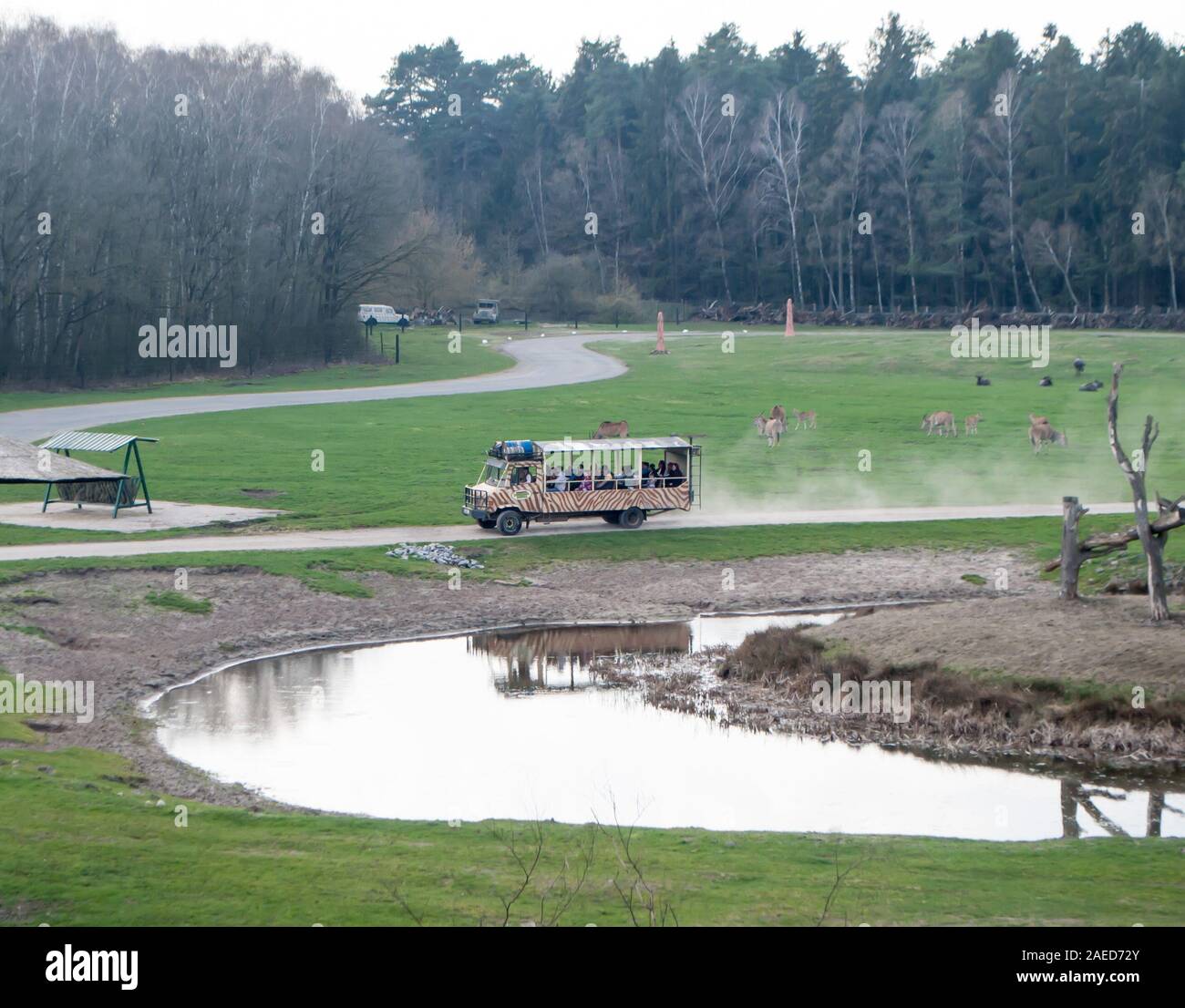 Zoo animals road hi-res stock photography and images - Alamy
