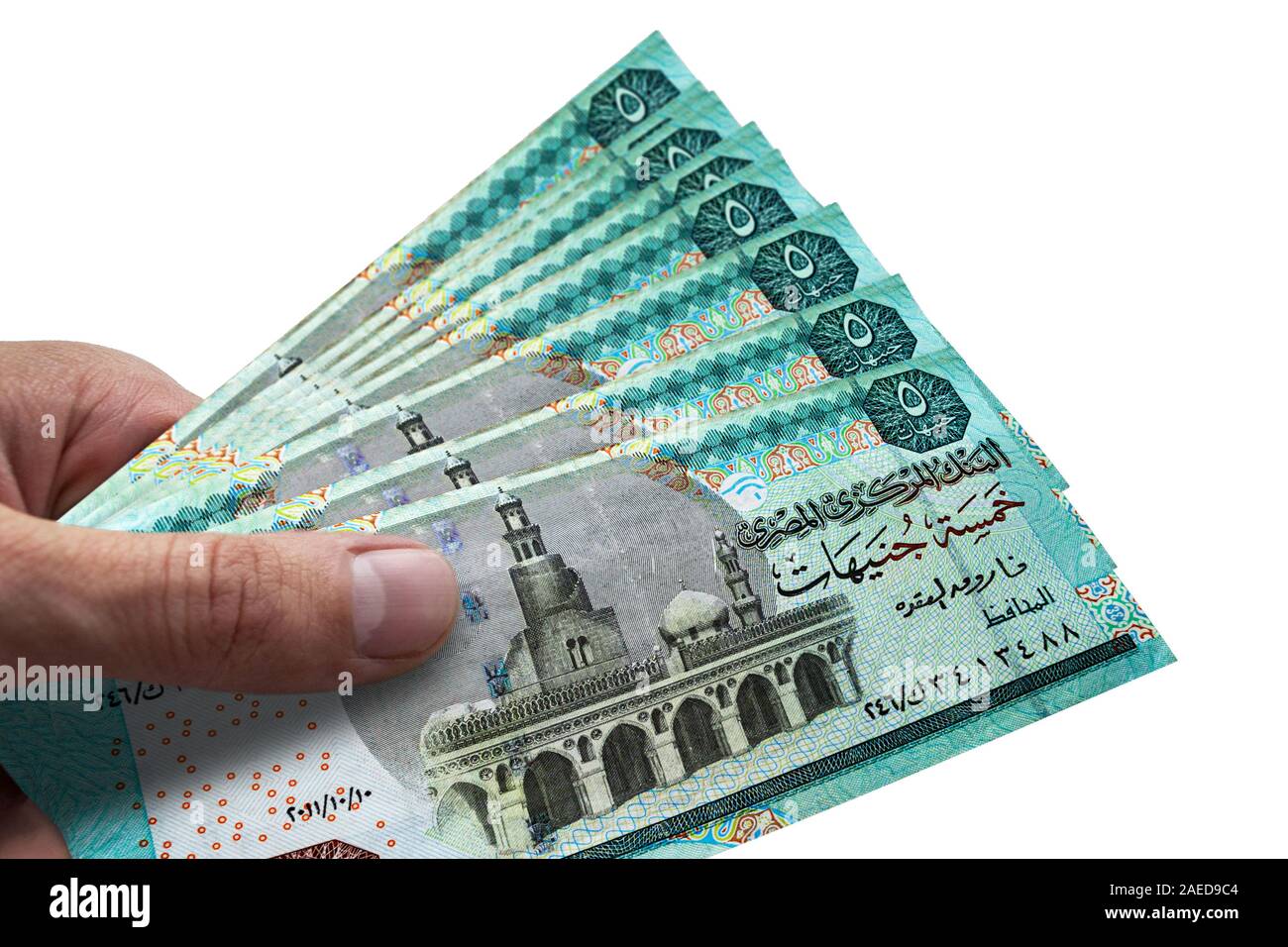 Hand holding Egyptian Pounds. EGP. Currency of Egypt Stock Photo - Alamy