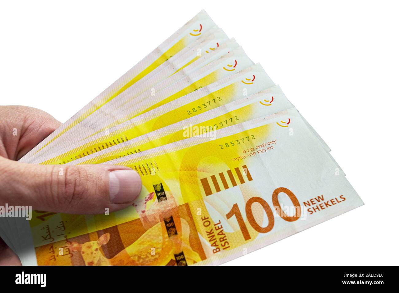 Hand holding Israeli shekels. ILS. Money of Israel Stock Photo - Alamy