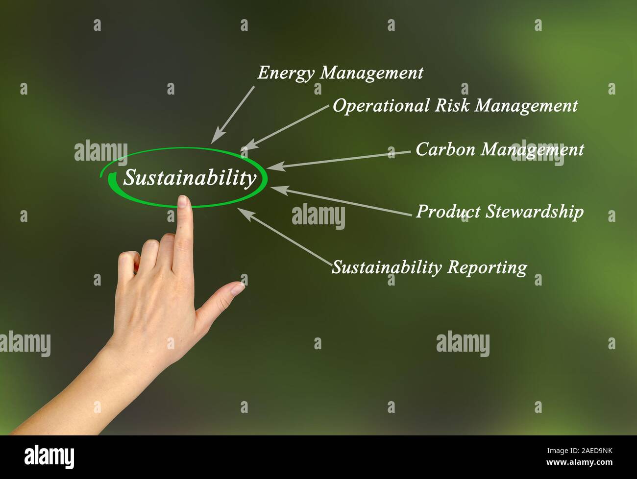 Diagram of sustainability Stock Photo - Alamy