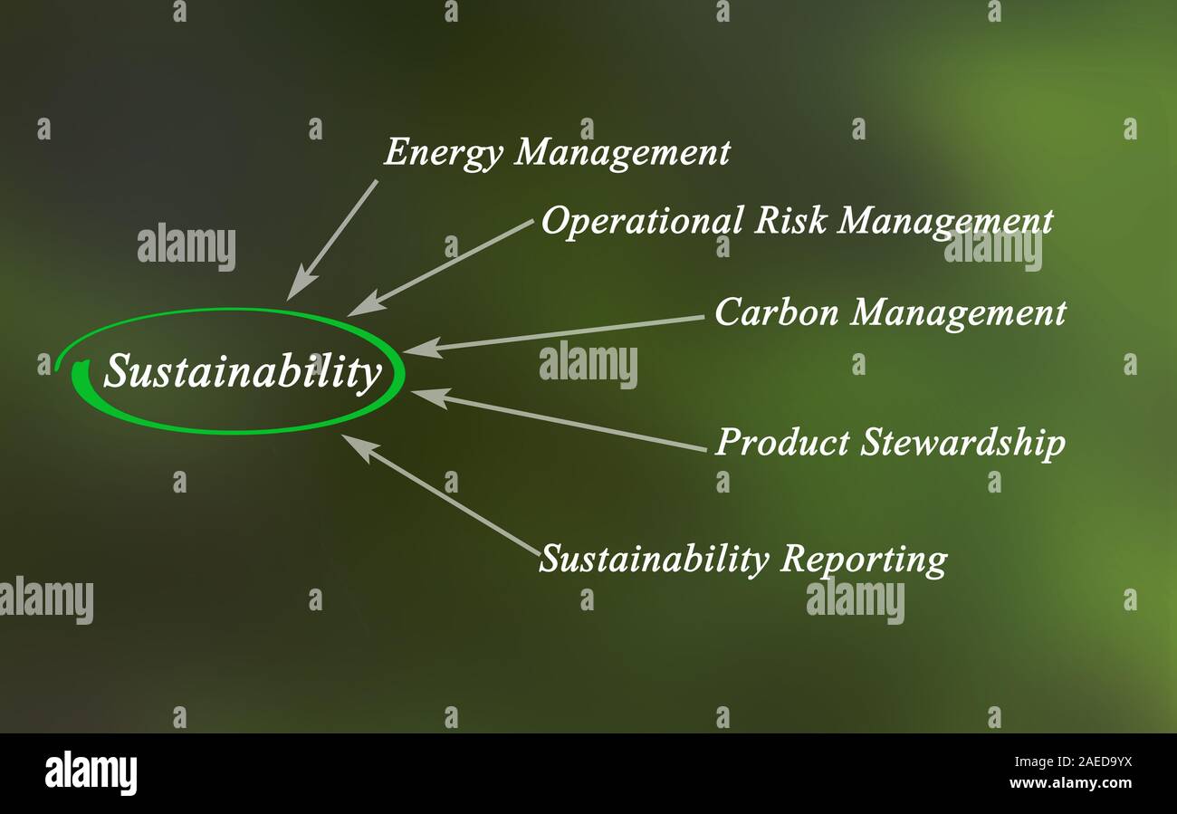 Diagram Of Sustainability Diagram Of Sustainability Stock Ph