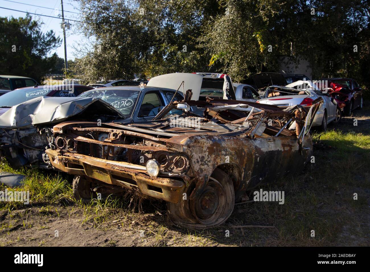 Wrecked automobiles in a junkyard to be sold for salvage of parts Stock ...