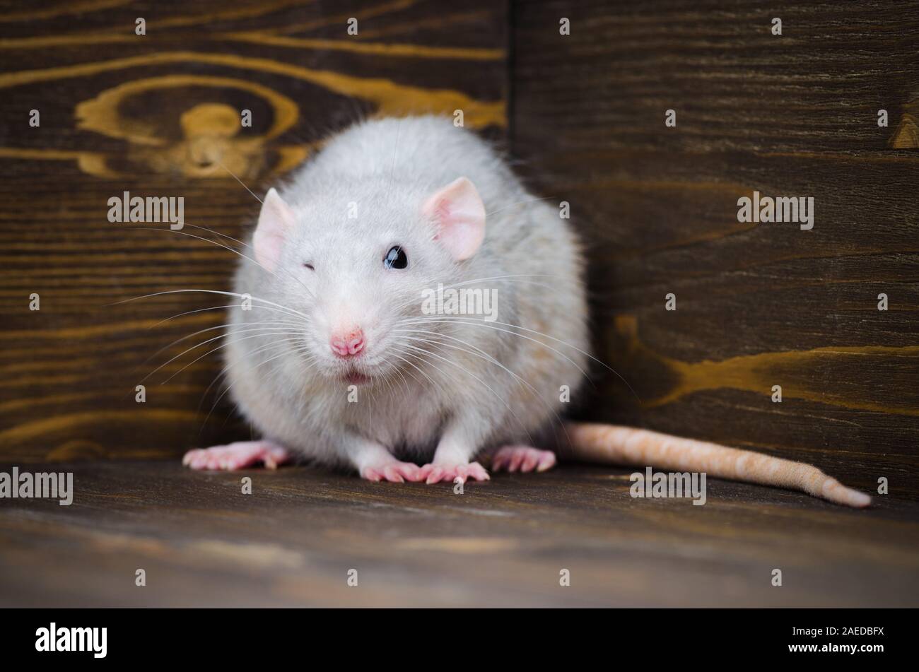 Problem with house hi-res stock photography and images - Alamy