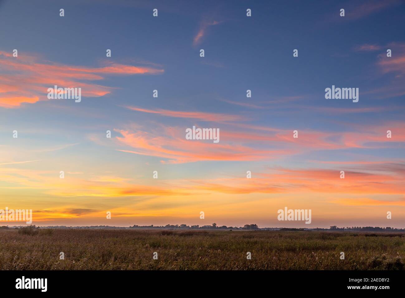 Beautiful sunset background over flat countryside in the Netherlands ...