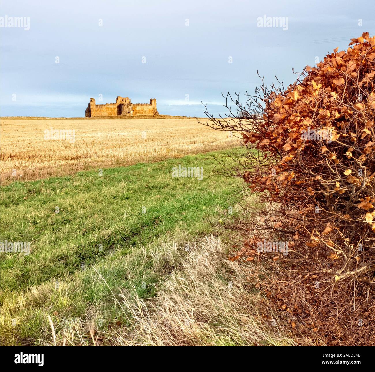 Berwick castle hi-res stock photography and images - Alamy