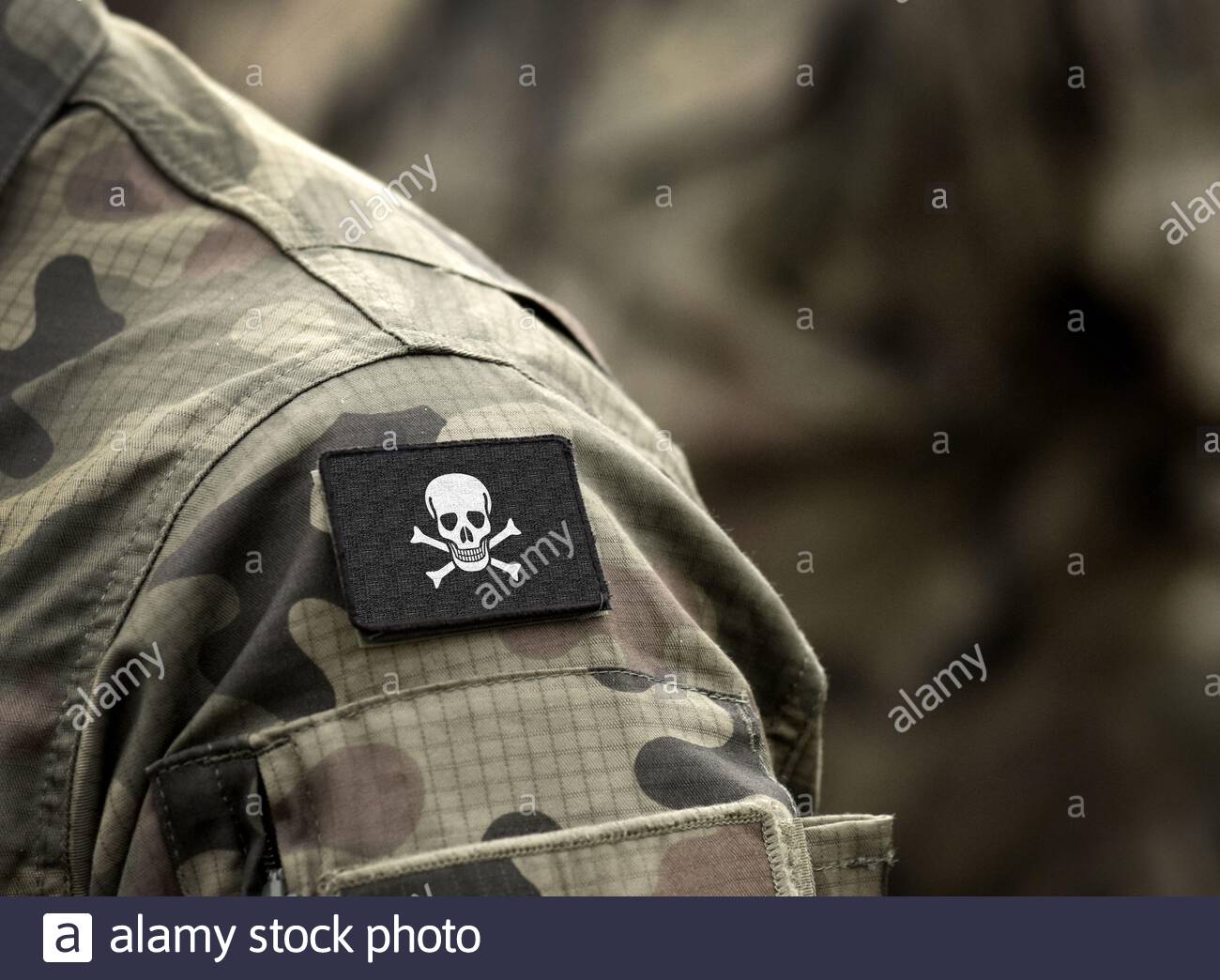 Jolly Roger Pirate Stock Photos & Jolly Roger Pirate Stock Images - Alamy