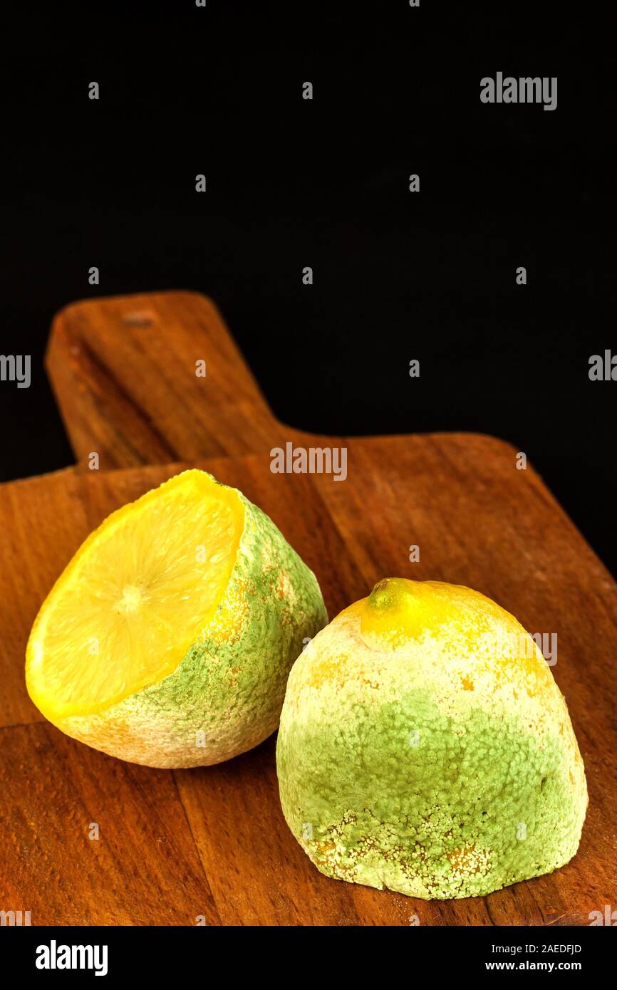 Moldy lemon on a kitchen board. Unhealthy food. Decayed fruit. Moldy ...