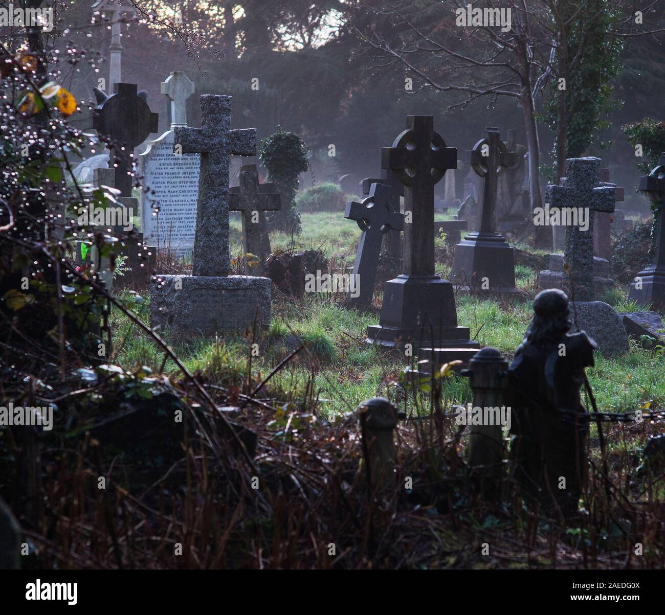 Southampton old cemetery hi-res stock photography and images - Alamy