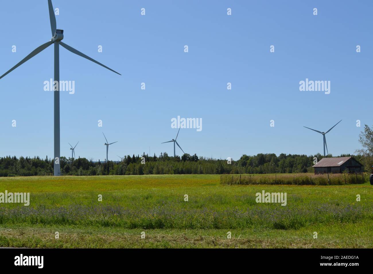 New york wind turbine hi-res stock photography and images - Alamy