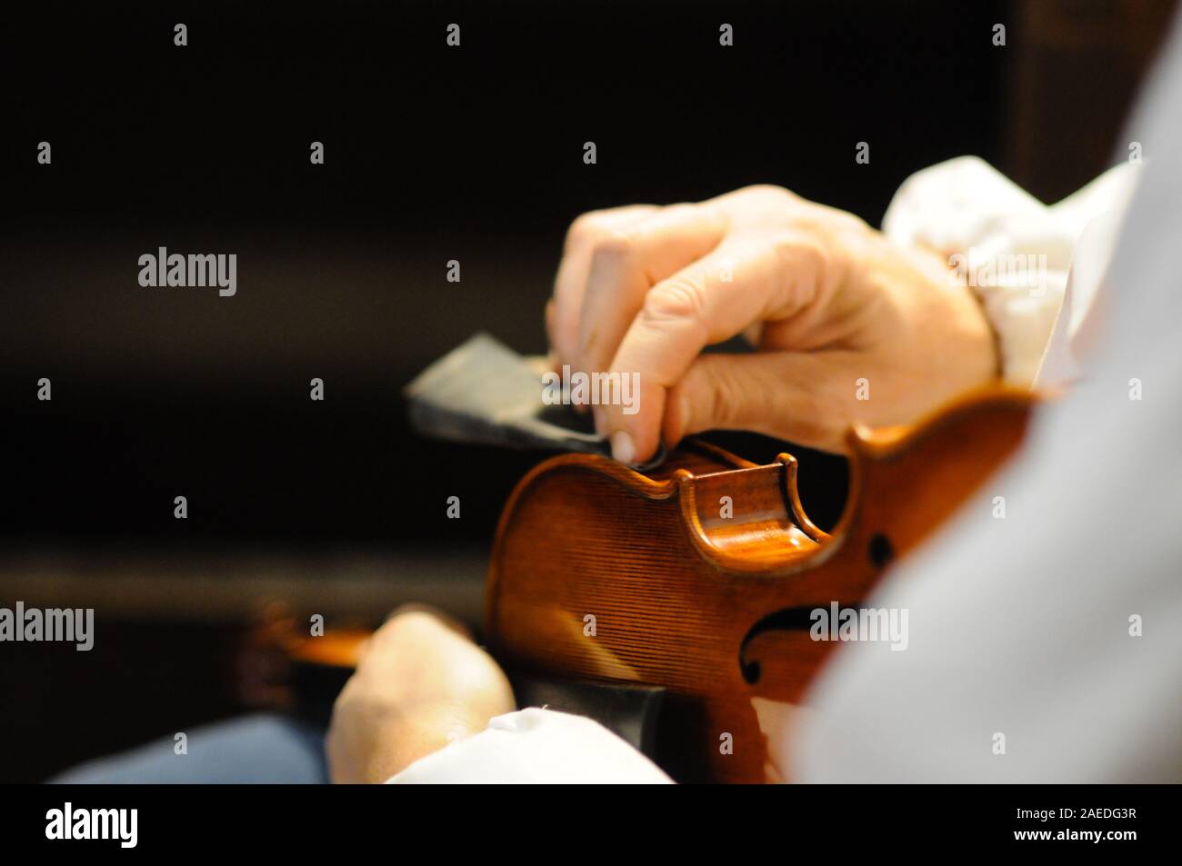 Violin Maker at work Stock Photo - Alamy