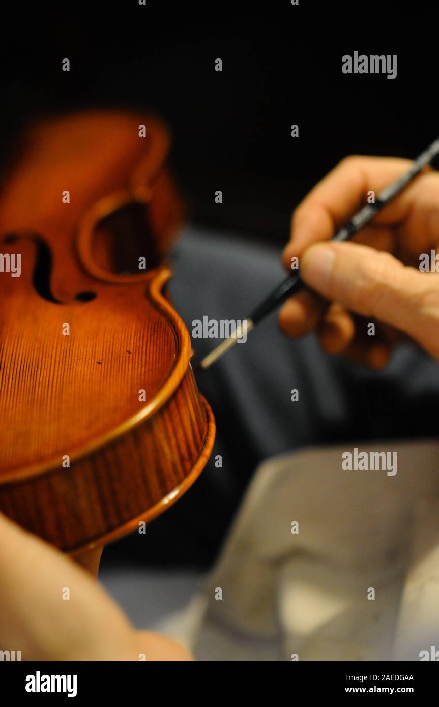 Master luthier violin maker varnishing a hand made violin stringed lute ...