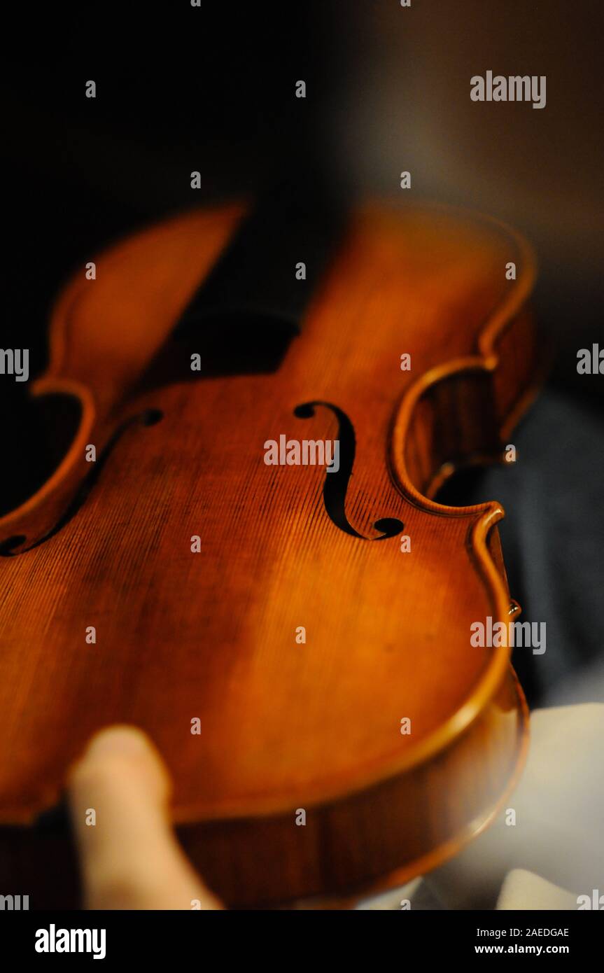 Master luthier violin maker varnishing a hand made violin stringed lute ...