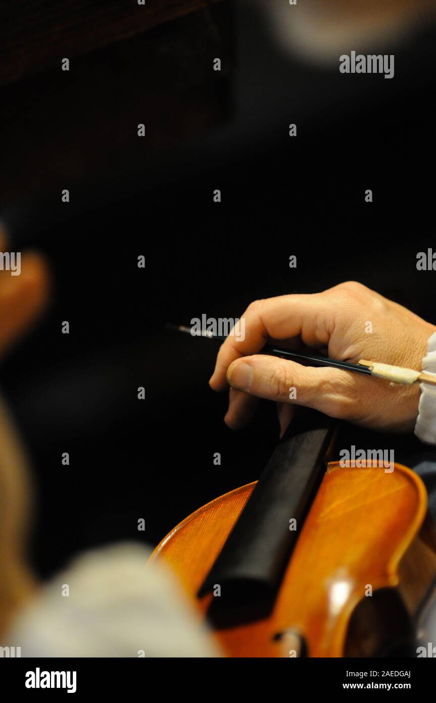 Lute maker hi-res stock photography and images - Alamy