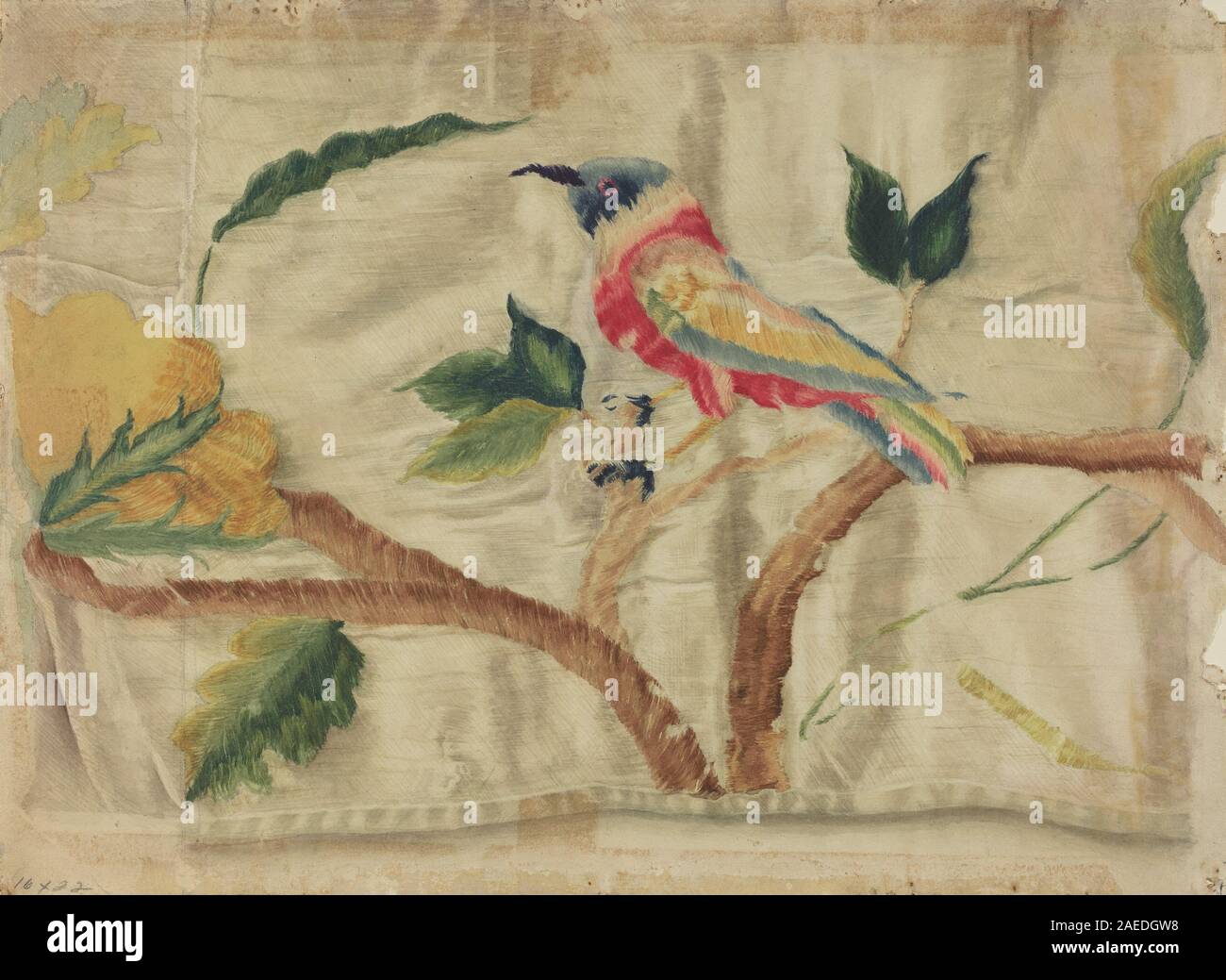 Border dimensions hi-res stock photography and images - Alamy