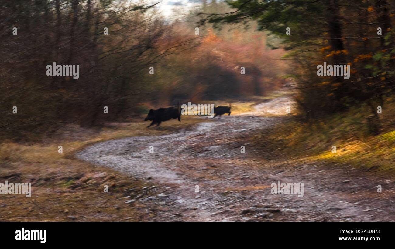 Large cross in path hi-res stock photography and images - Alamy