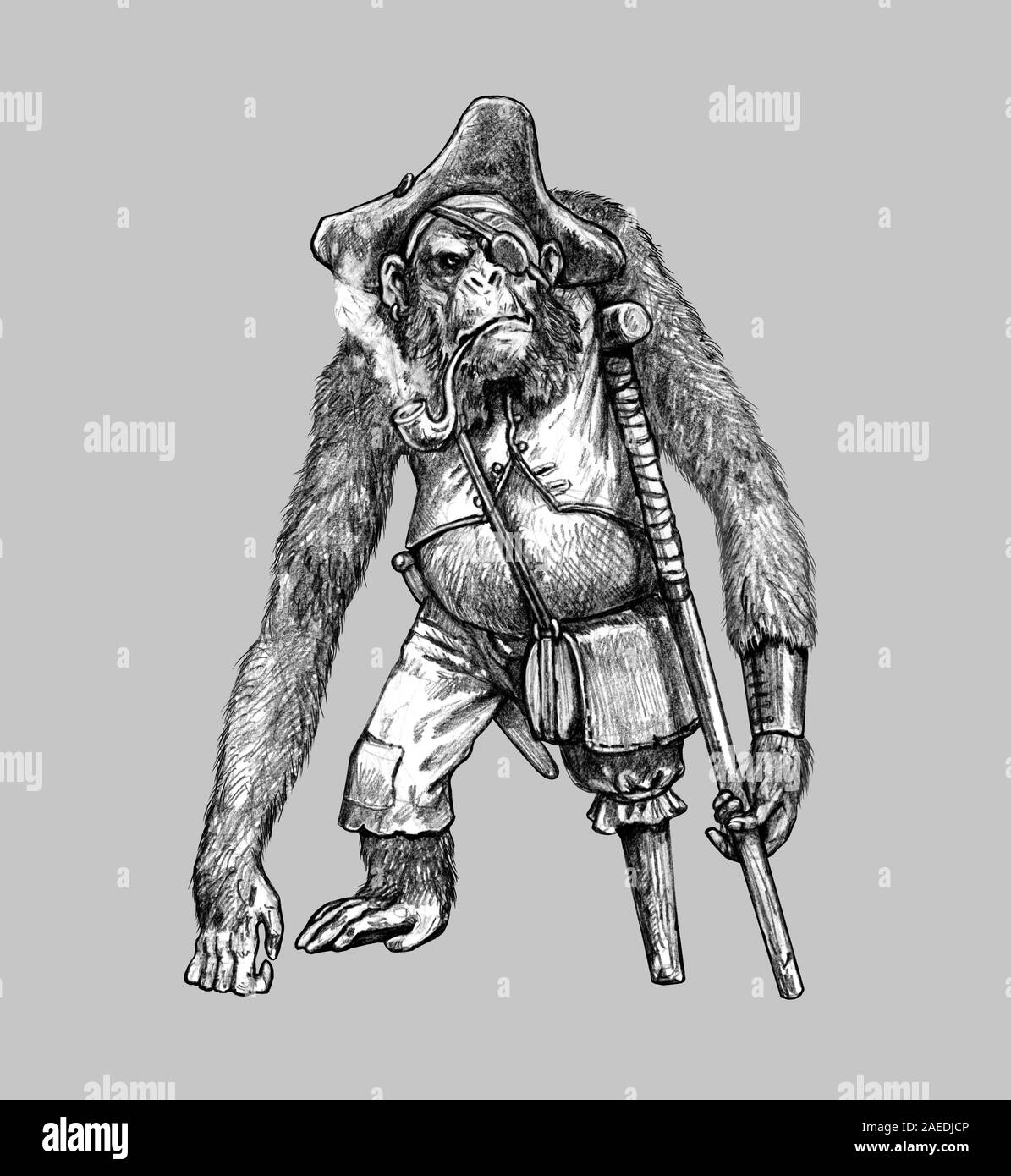Funny chimp pirate. Big ape with a pipe. Chimpanzee illustration Stock ...