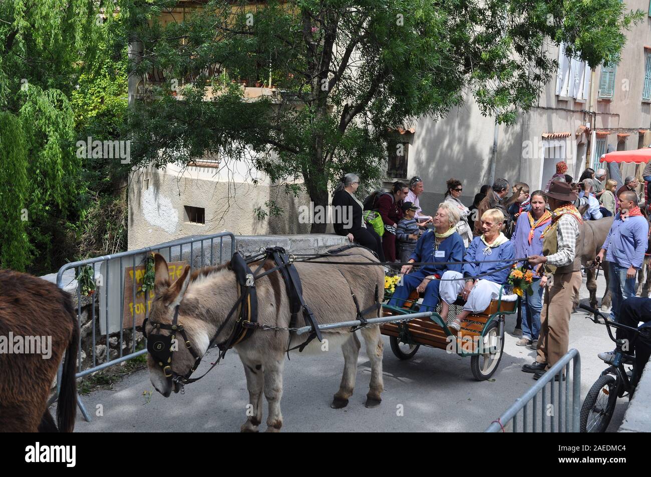 Donkey festival with parade in period costumes in La Roquebrussanne Var ...