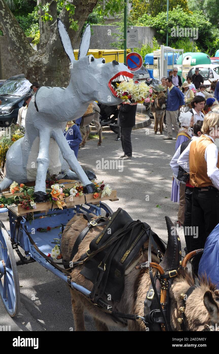Donkey festival with parade in period costumes in La Roquebrussanne Var ...