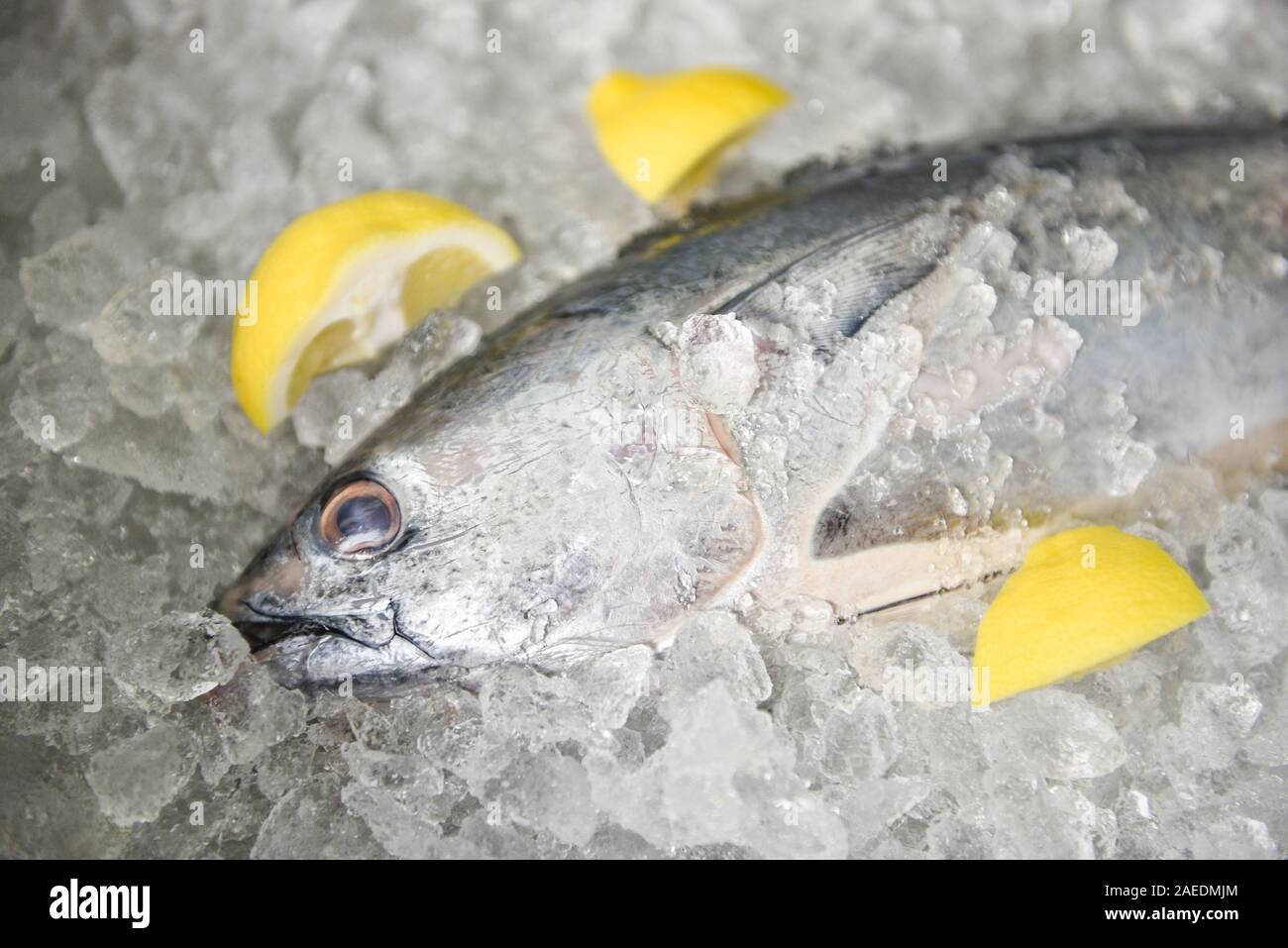 Pacific bluefin tuna hi-res stock photography and images - Alamy