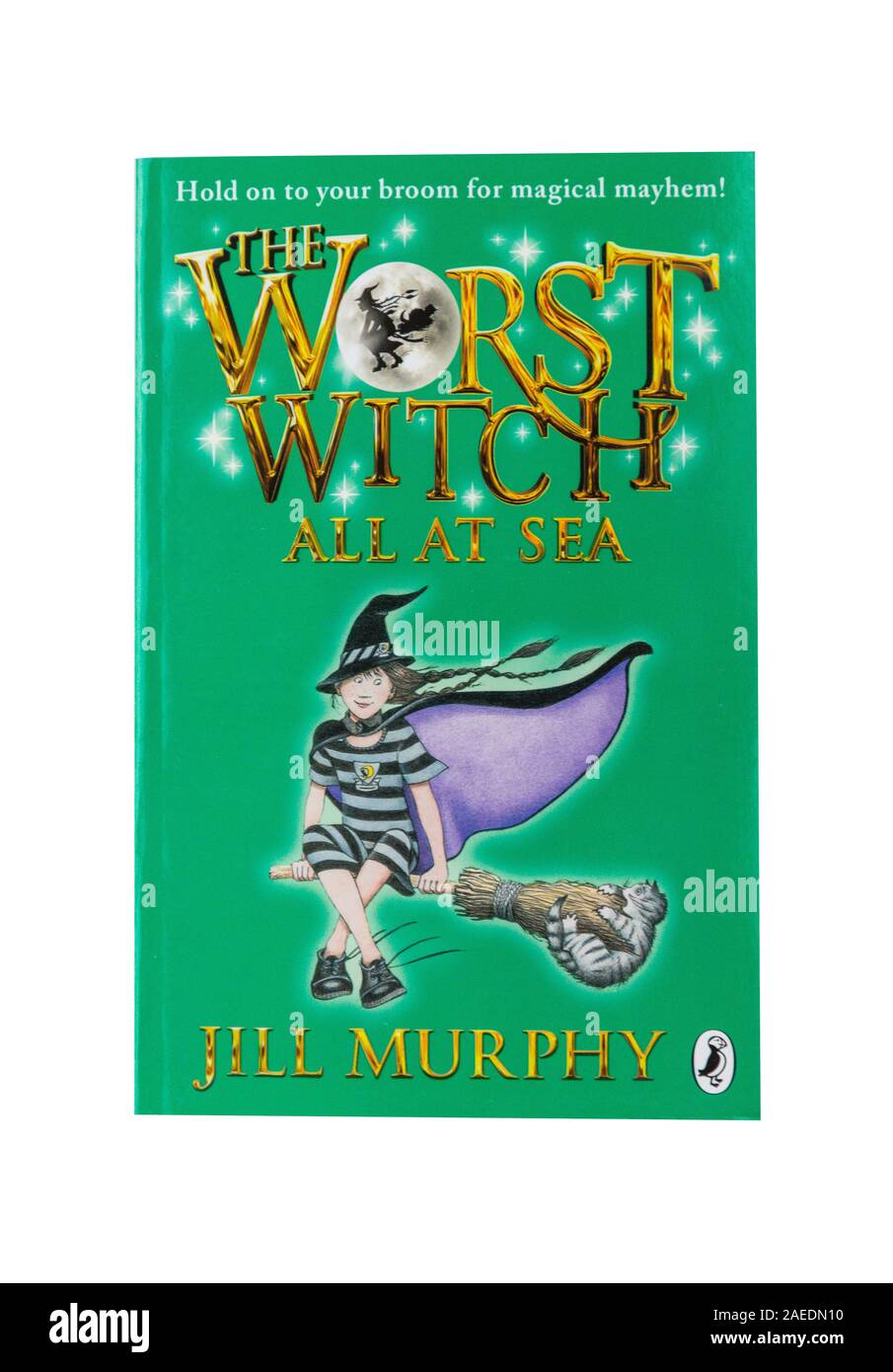 Witch Cut Out Stock Images & Pictures - Alamy