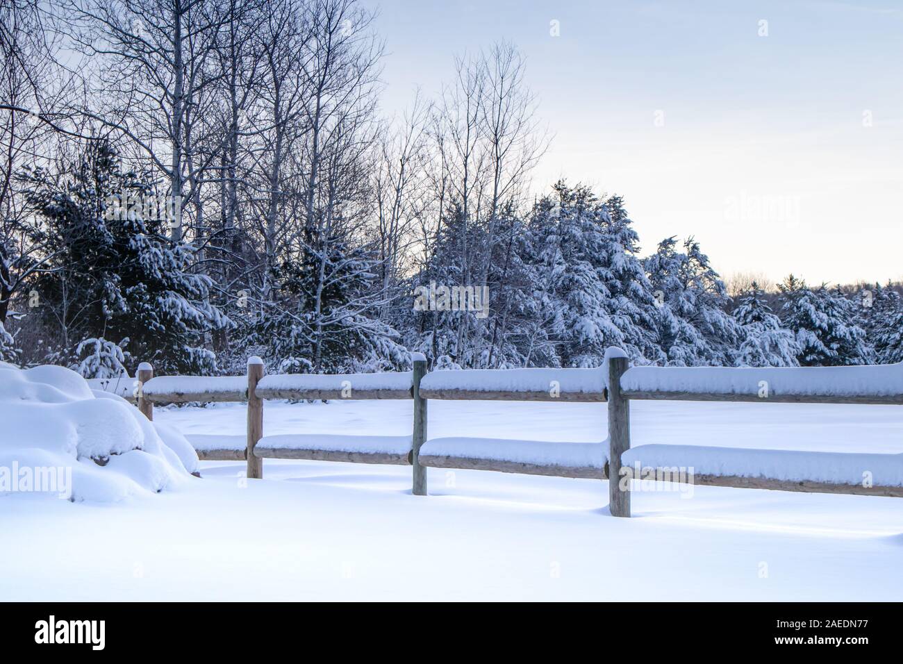 Countryside snow covered fence in front of a forest in Wausau ...