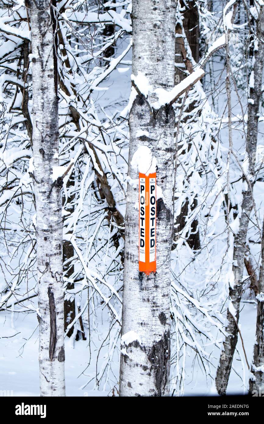 Orange posted sign stating no trespassing on a Wisconsin tree after a ...