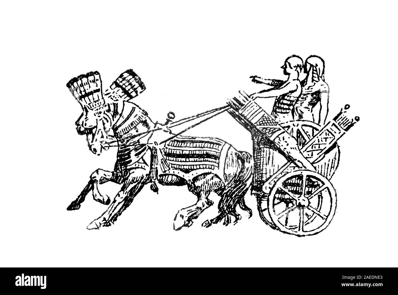 Chariot egypt hi-res stock photography and images - Alamy