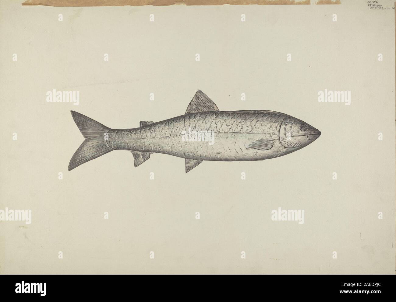 Henry the fish hi-res stock photography and images - Alamy