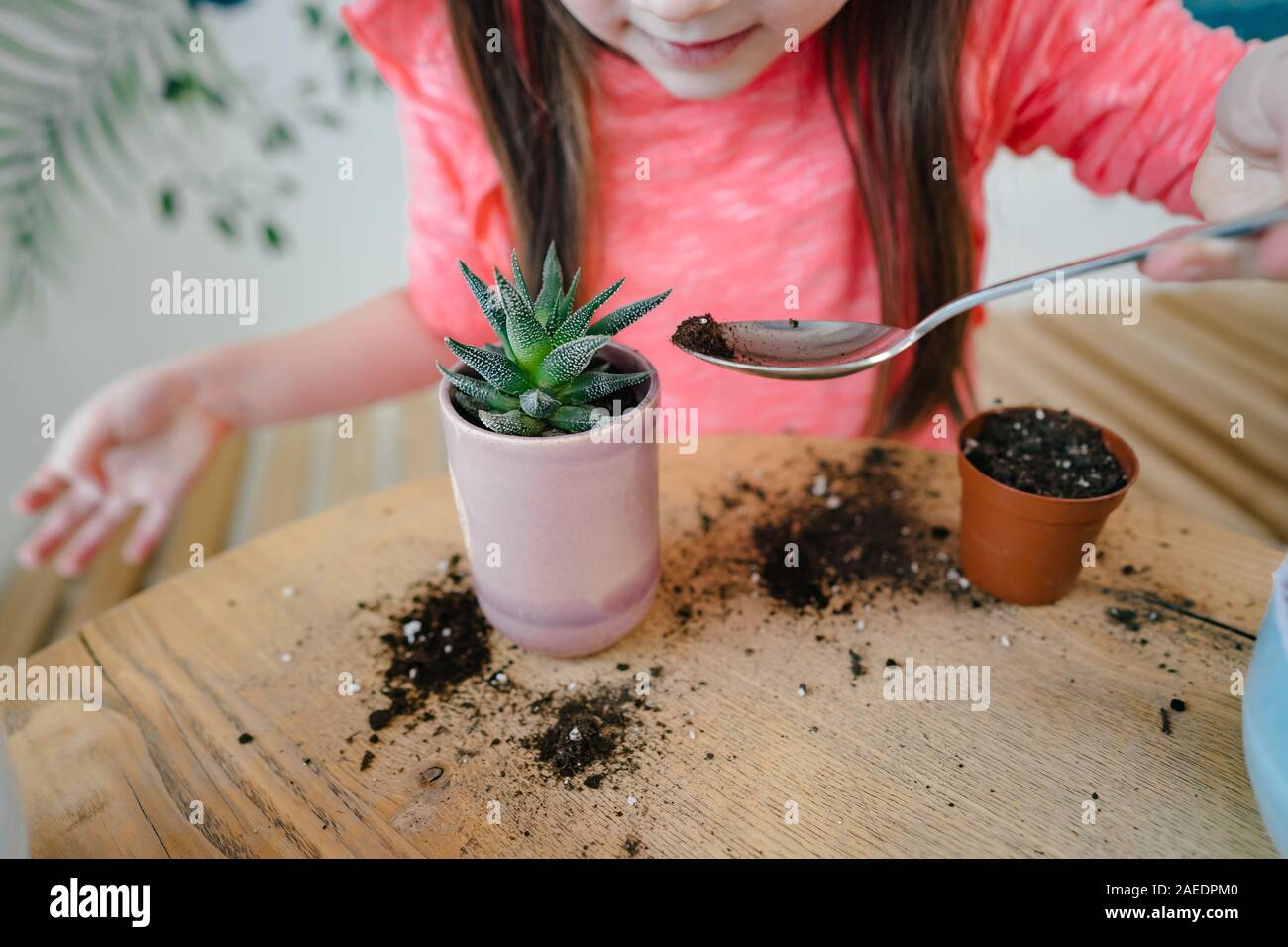 Rosetting hi-res stock photography and images - Alamy